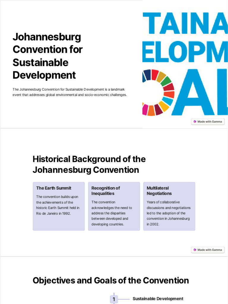 Johannesburg Sustainable Development Convention | PDF | Sustainability ...
