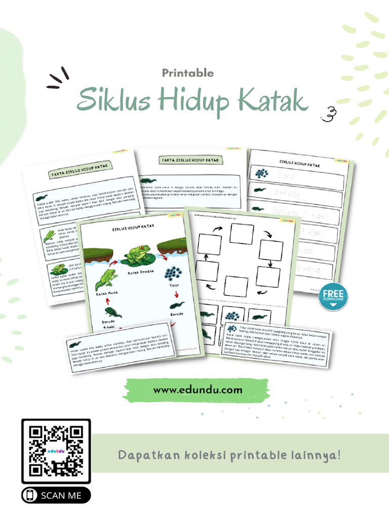 Siklus Hidup Katak Printable Edundu | PDF