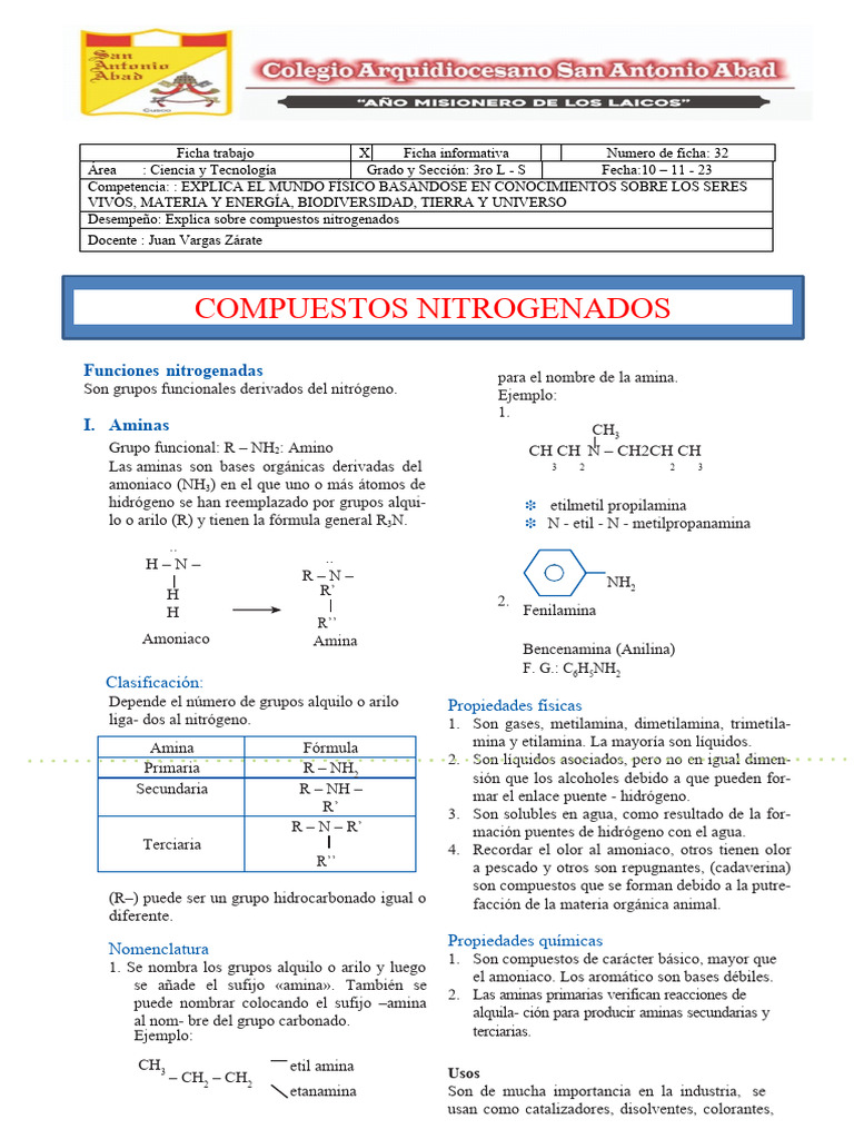 Notas De Compuestos Nitrogenados Pdf Amina Amida 