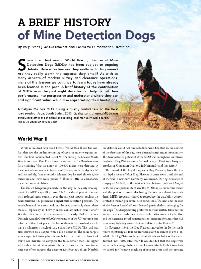 A Brief History of Mine Detection Dogs | PDF | Land Mine | Naval Mine
