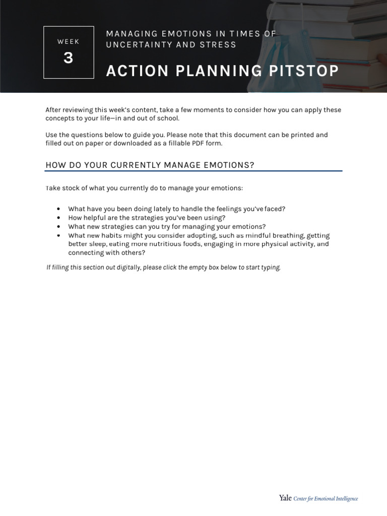 Week3 Action Planning Pitstop | PDF