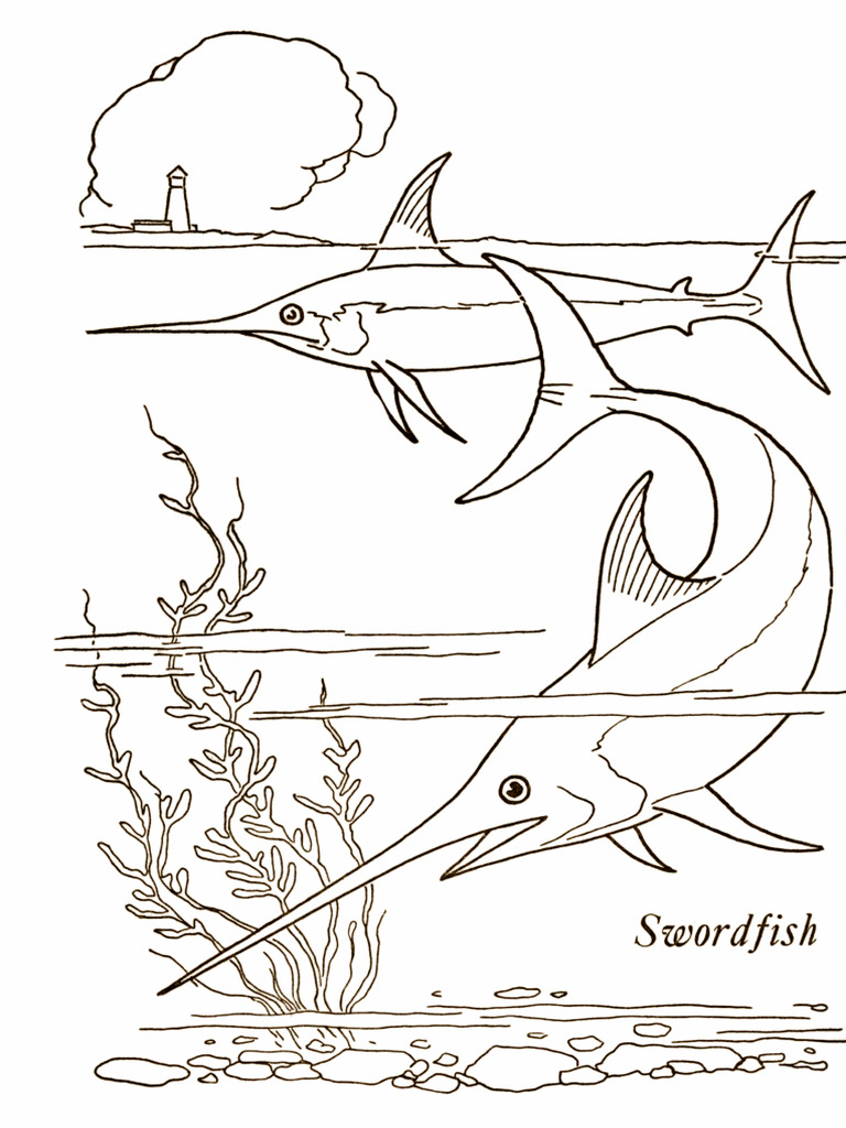 Swordfish Coloring Page GraphicsFairy | PDF