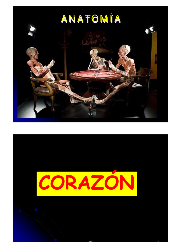 Corazon Ii | PDF | Corazón | Hidráulica