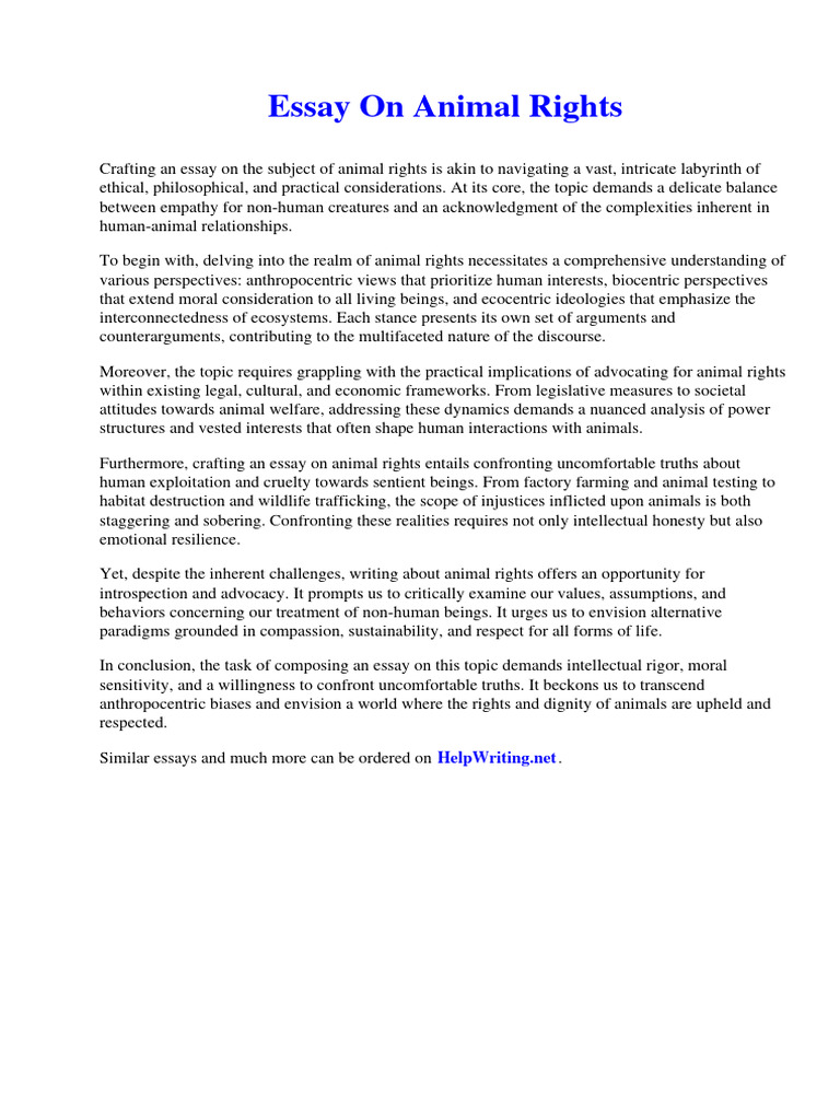 Essay On Animal Rights | PDF | Tourette Syndrome | Homer