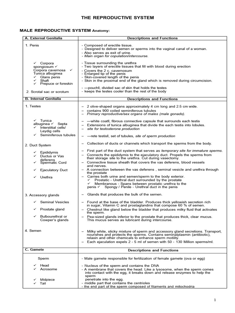 Ob Notes Normal 1 | Download Free PDF | Menstrual Cycle | Luteinizing ...