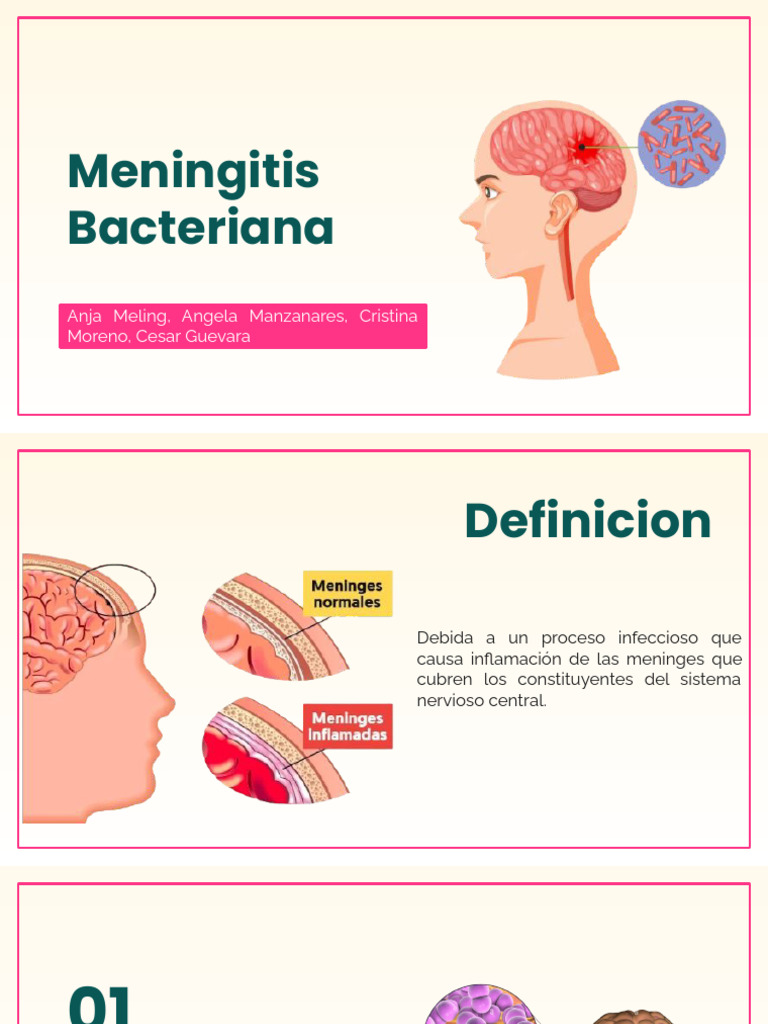 Meningitis Bacteriana | PDF | Meningitis | Epidemiología