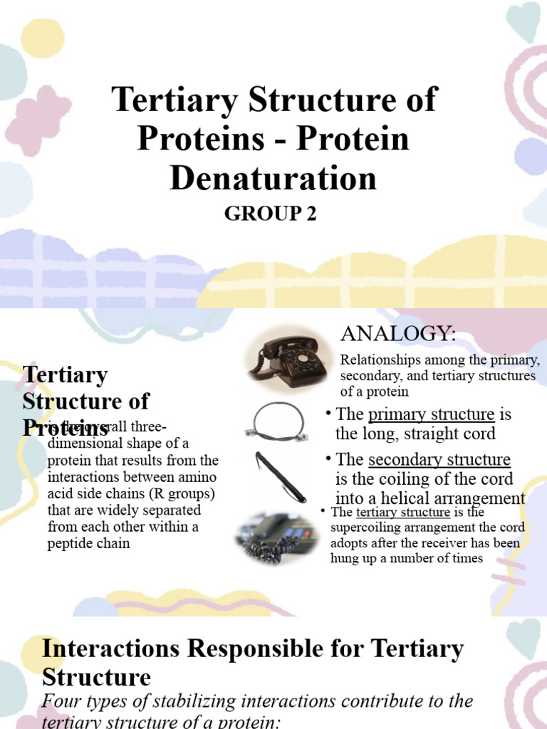 Tertiary Structure of Protein | PDF | Denaturation (Biochemistry ...