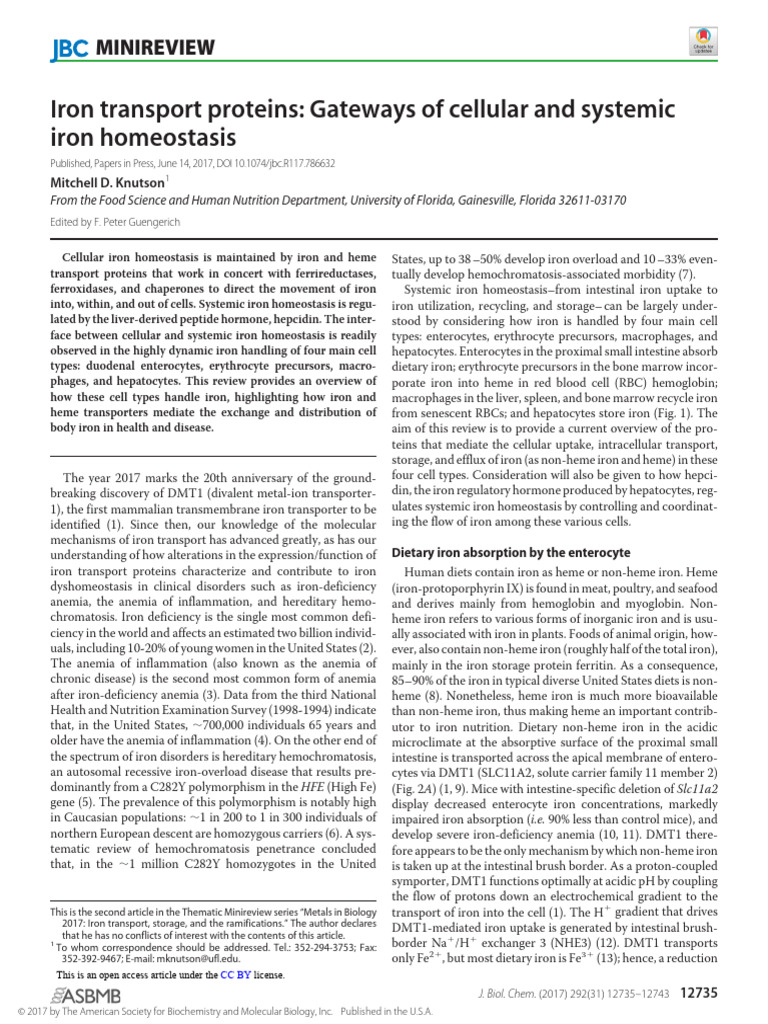 Iron Transport Proteins and Homeostasis | PDF | Red Blood Cell | Hemoglobin