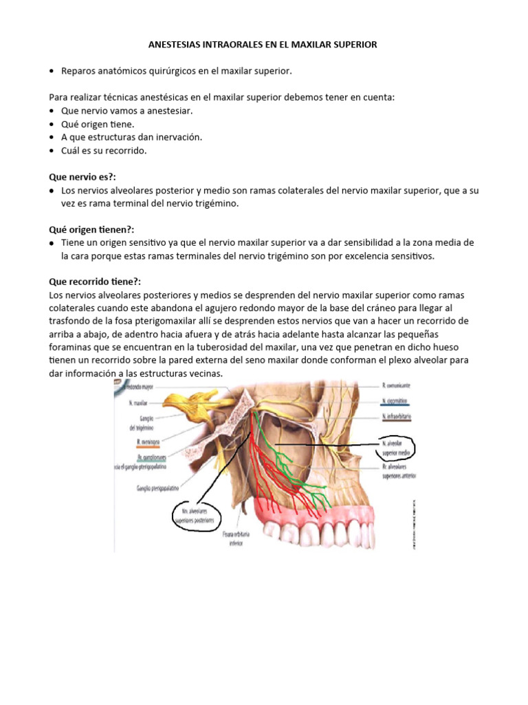Técnicas de Anestesia Maxilar Superior | PDF | Anatomía humana | Boca