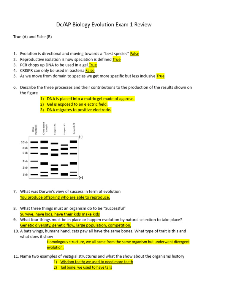 Bio Evolution Exam 1 Review | PDF | Natural Selection | Evolution