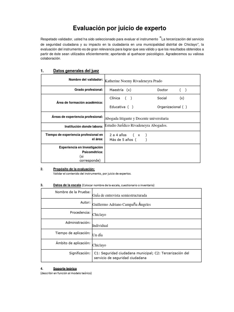 Evaluación Por Juicio de Experto | PDF | Outsourcing | Psicología ...