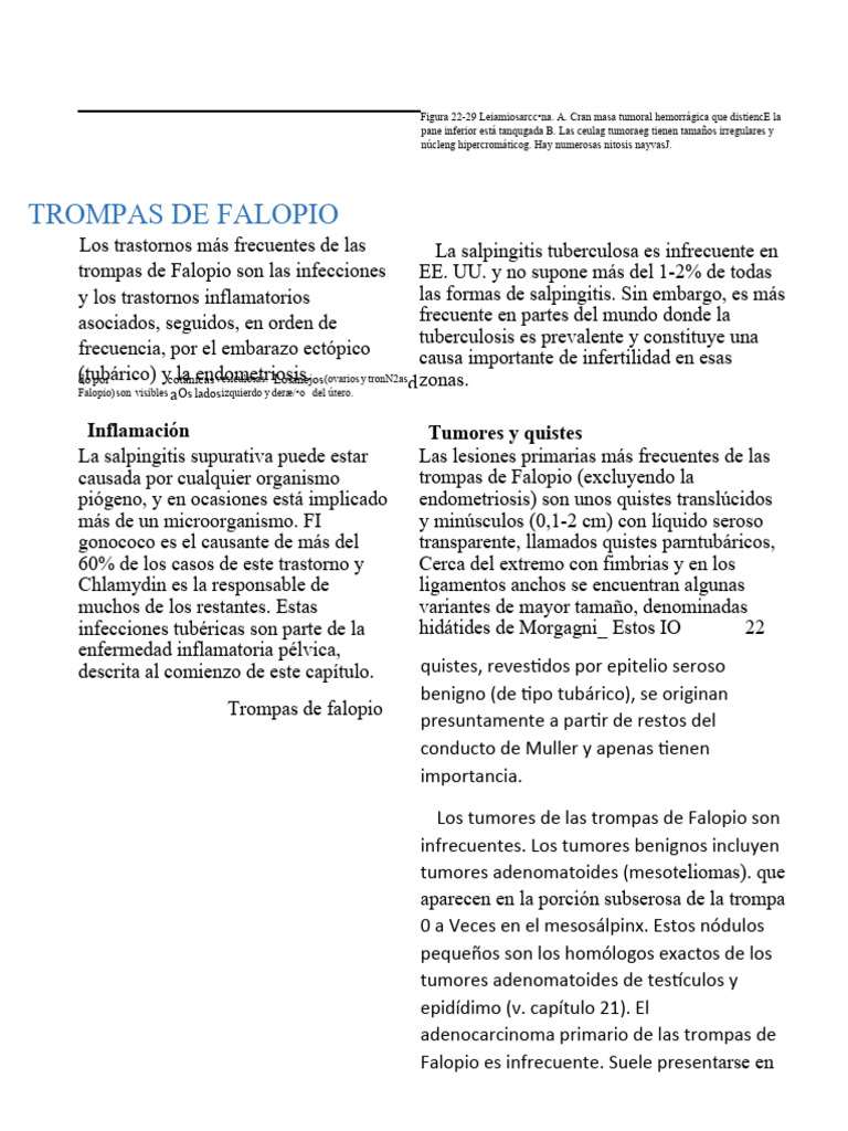 Robbins y Cotran Patologia Estructural y Funcional- Trompa de Falopio ...