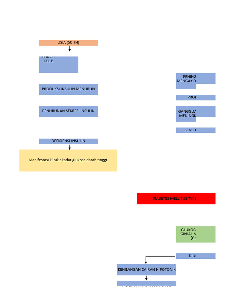 Manajemen Diabetes Melitus Tipe II | PDF