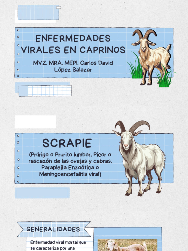 Scrapie en Caprinos: Diagnóstico y Prevención | PDF | Sistema inmune ...