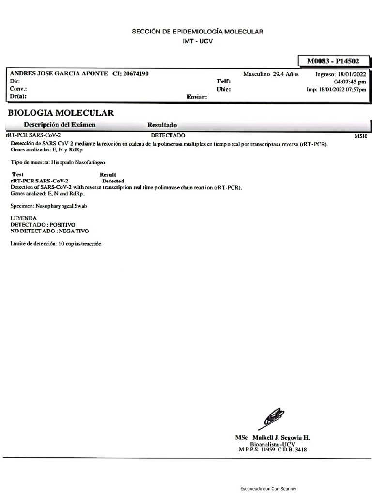 TOMAR IDEA MODELO PCR | PDF