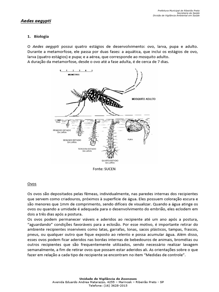 Aedes Aegypti | PDF | Aedes aegypti | Mosquito