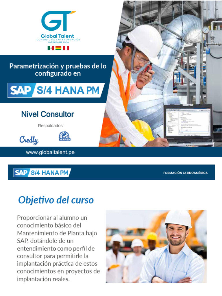 Brochure SAP PM Consultoría-Configuración | PDF | Salón de clases | Informática