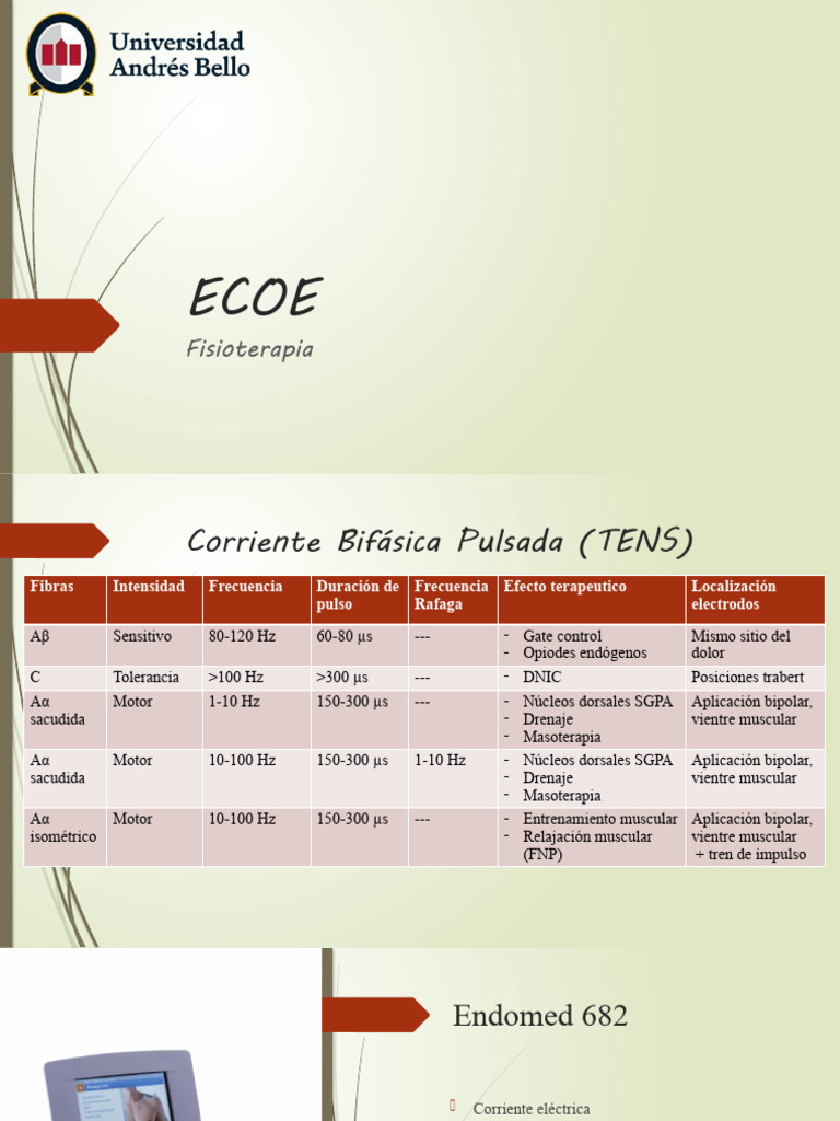 Ecoe FST | PDF | Cantidad | Neuropsicología