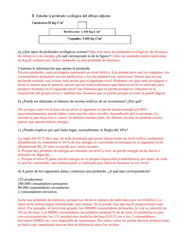 Tipos de Pirámides Ecológicas y Biomasa | PDF | Biomasa (Ecología ...