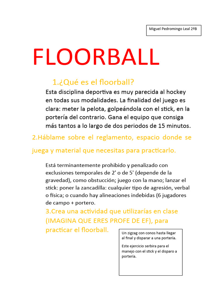 Floorball | PDF