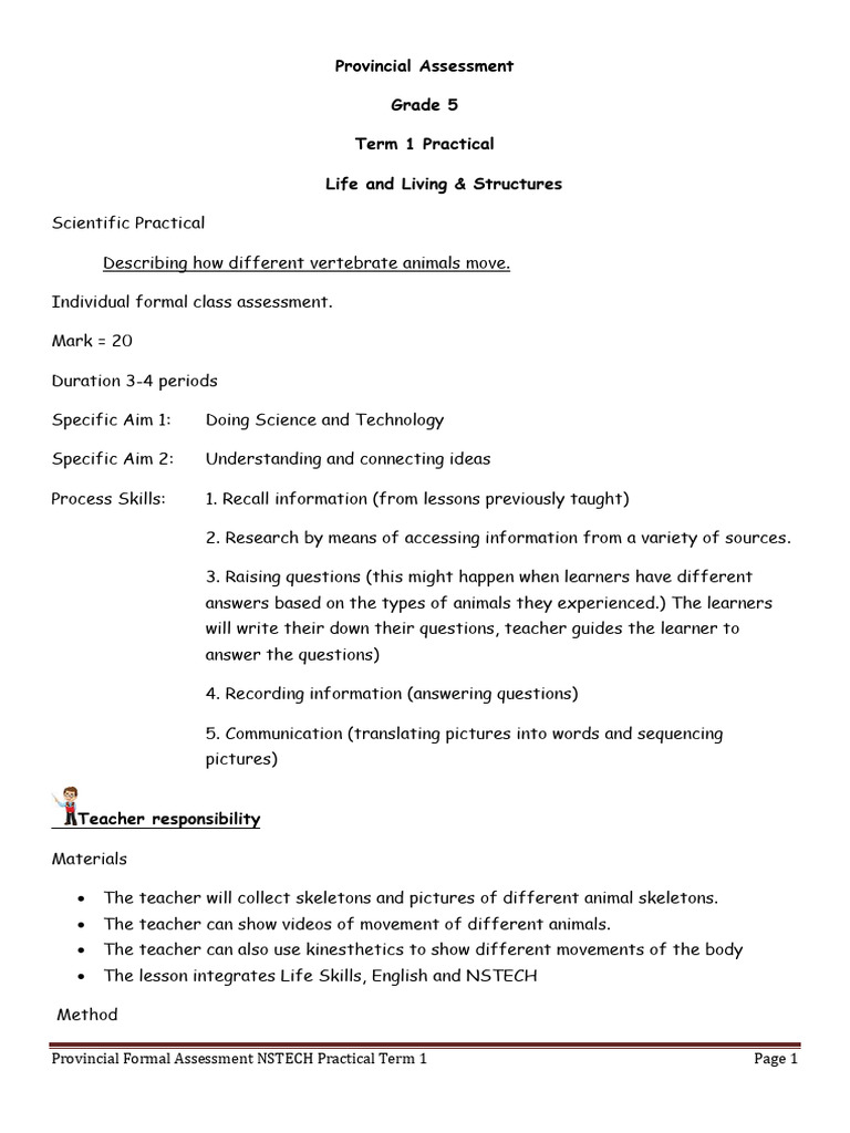 Grade 5 Nstech Term 1 Practical 2019 | Download Free PDF | Teachers | Frog