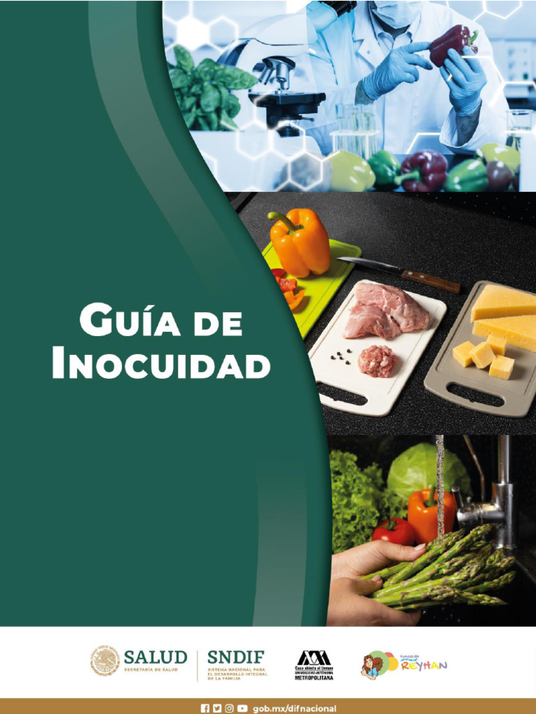 Guia Inocuidad | PDF | Calidad (comercial) | Almidón