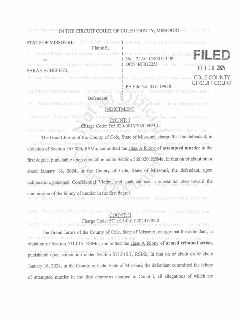 005 2024-02-08 Indictment Sarah-E-Scheffer Mo PDF | PDF
