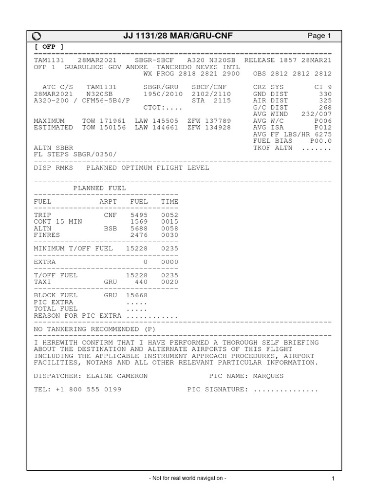 Flight Plan JJ 1131: GRU to CNF | PDF | Instrument Flight Rules | Aviation