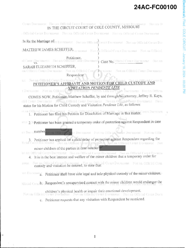 2024 01 19 - Motion For Temporary Custody - Matthew Scheffer V Sarah e ...