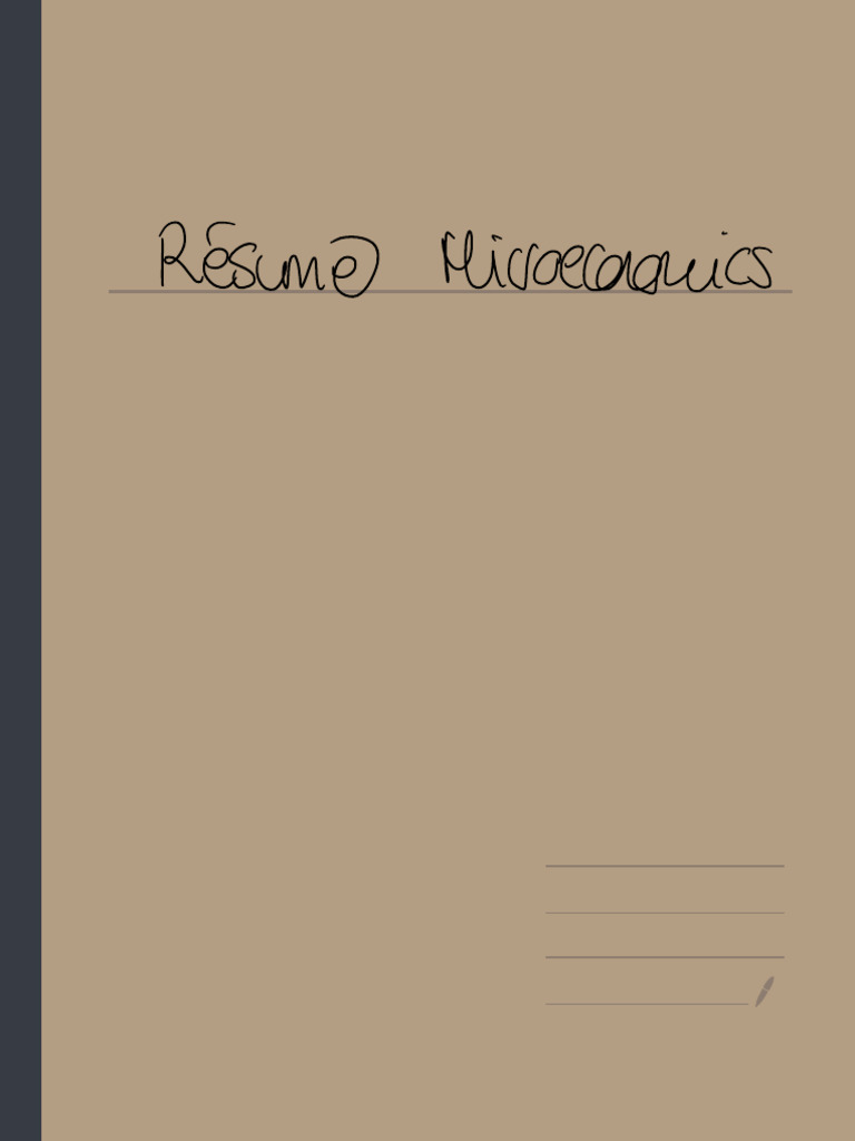 Résume Micro | PDF | Mathematical Optimization | Utility