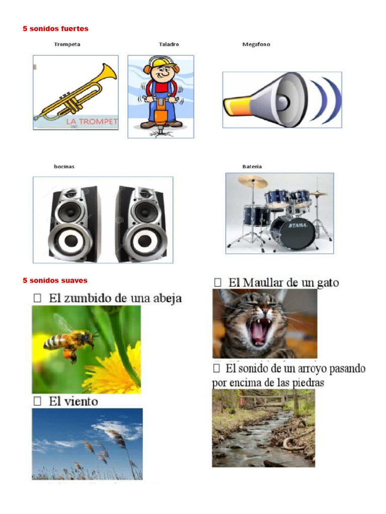 5 Sonidos Fuertes | PDF