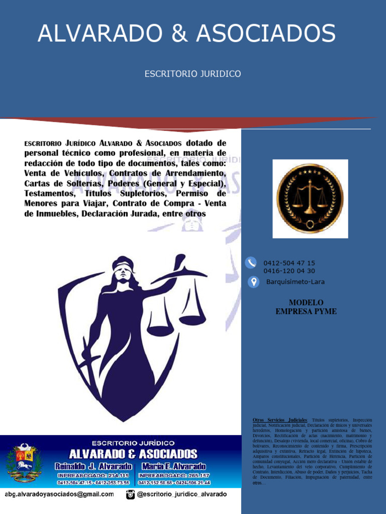 MODELO EMPRESA PYME FORMATO EJAA | PDF | Compartir (Finanzas) | Venezuela