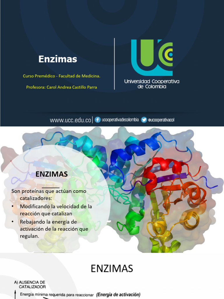 3 Enzimas | PDF | Enzima | Inhibidor de la enzima