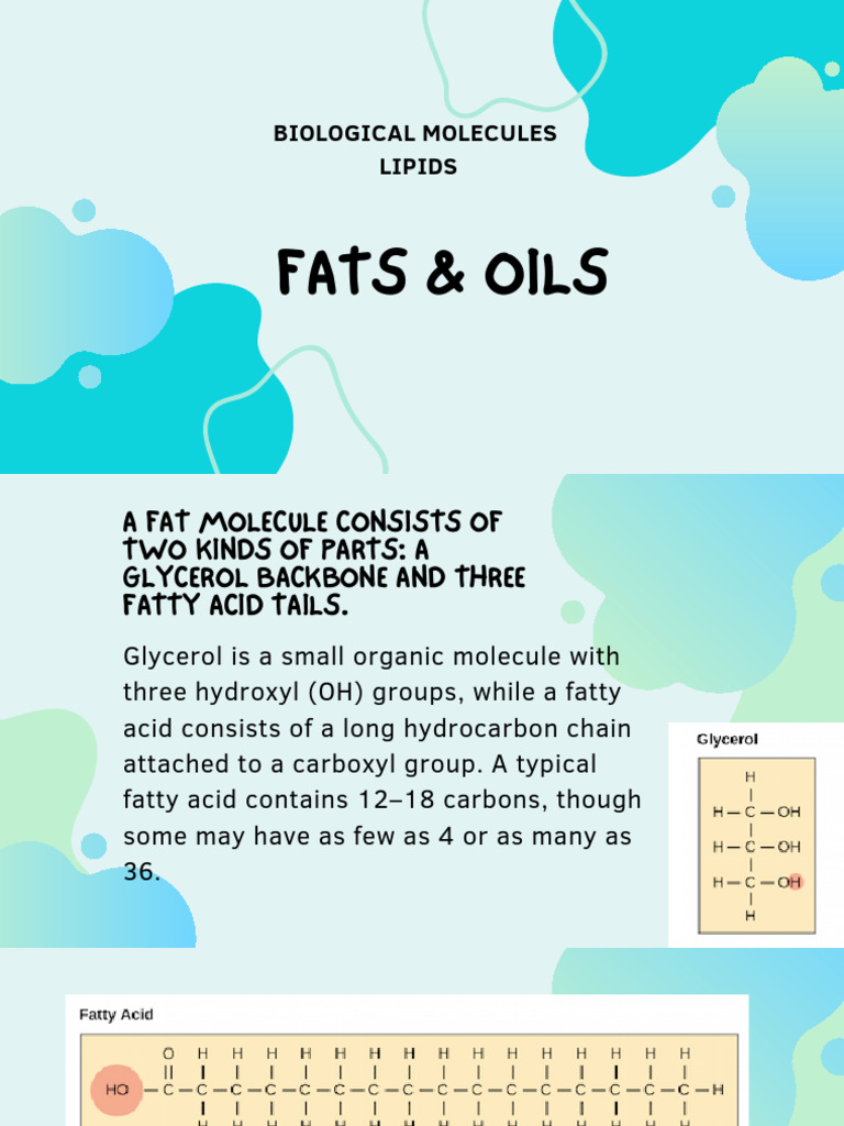 Understanding Fat Molecules & Triglycerides | PDF | Science & Mathematics