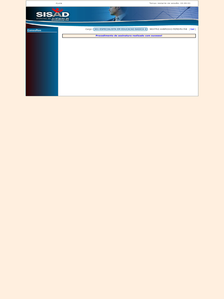 SISAD - Sistema de Avaliação de Desempenho 4 | PDF