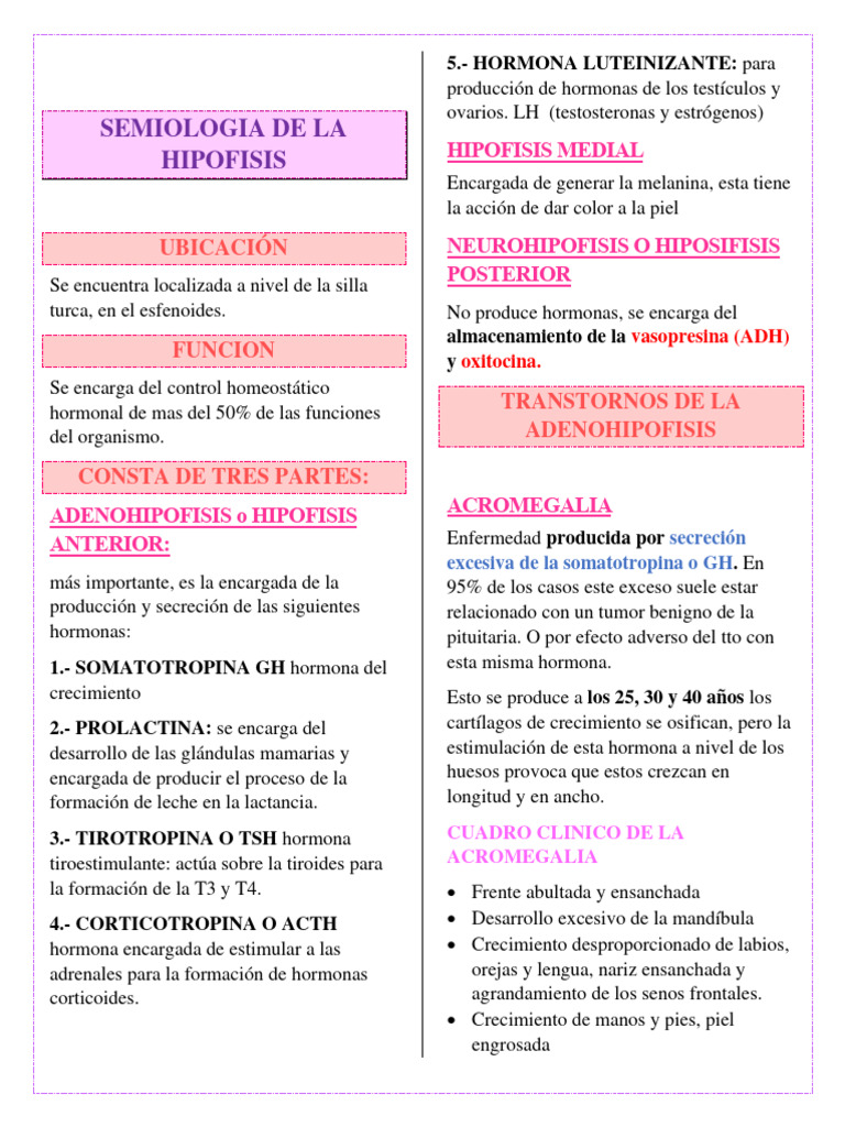 Semiologia Diferenciada Hito 3 | PDF | Hipotálamo | Tiroides