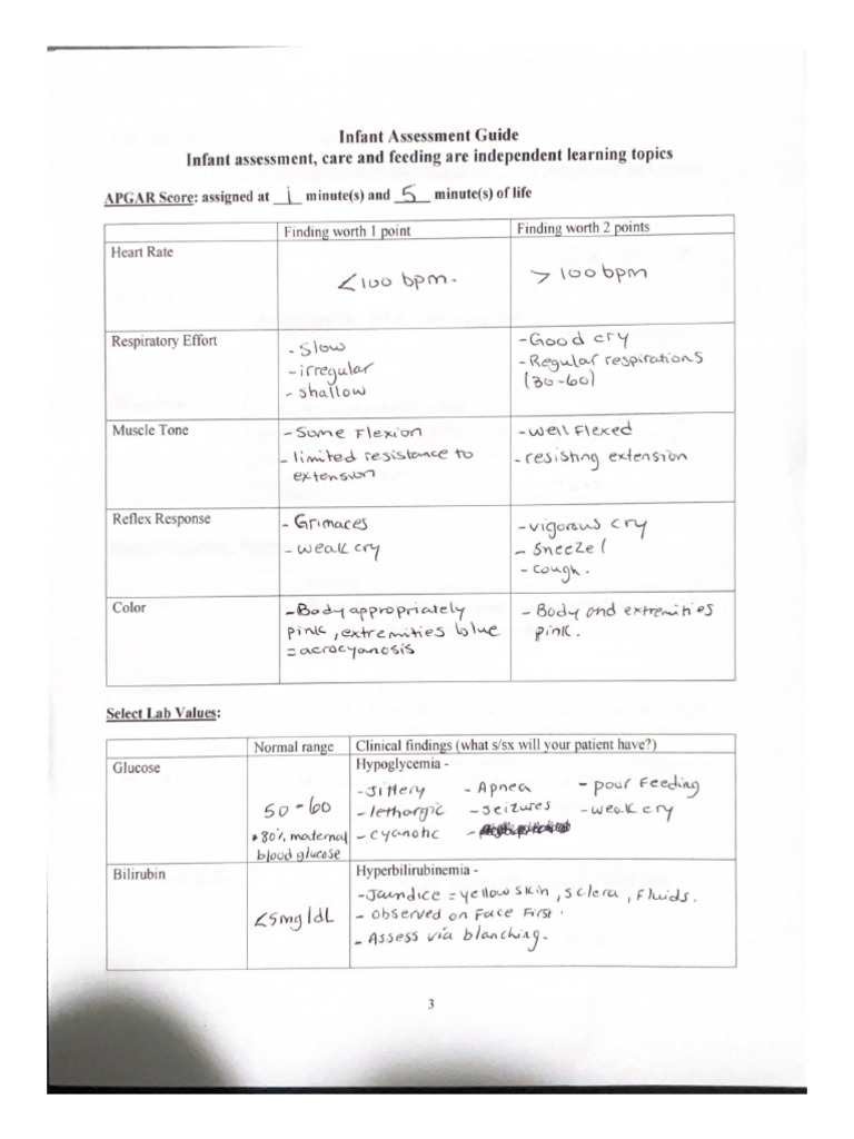 Infant Assessment Guide | PDF