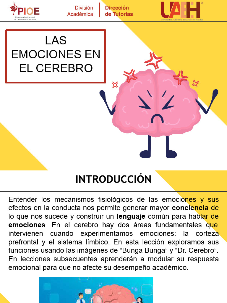 Las Emociones En El Cerebro Pdf Las Emociones Cerebro