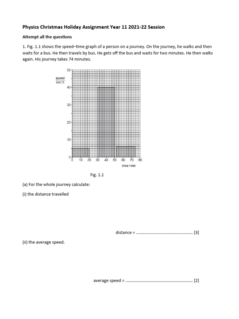 Year 11 Physics Holiday Assignment | PDF | Radioactive Decay | Waves