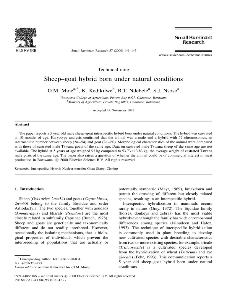 Sheep-Goat Hybrid Born Under Natural Conditions | PDF | Sheep | Karyotype