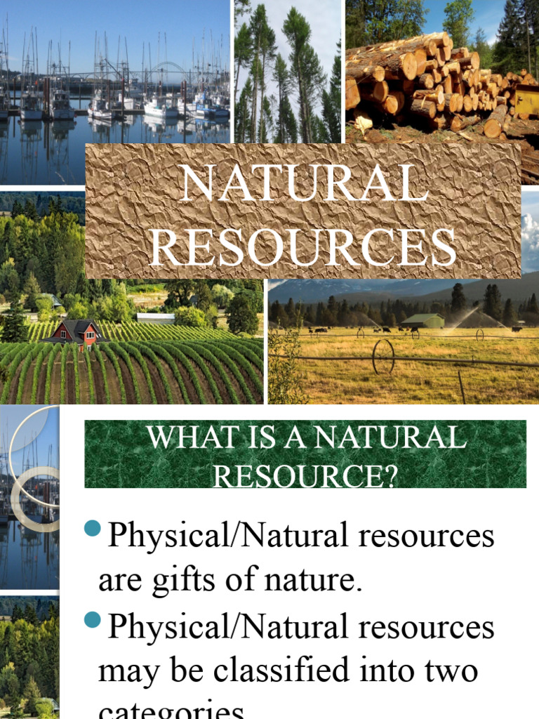 Natural Resources | PDF | Solar Power | Renewable Energy