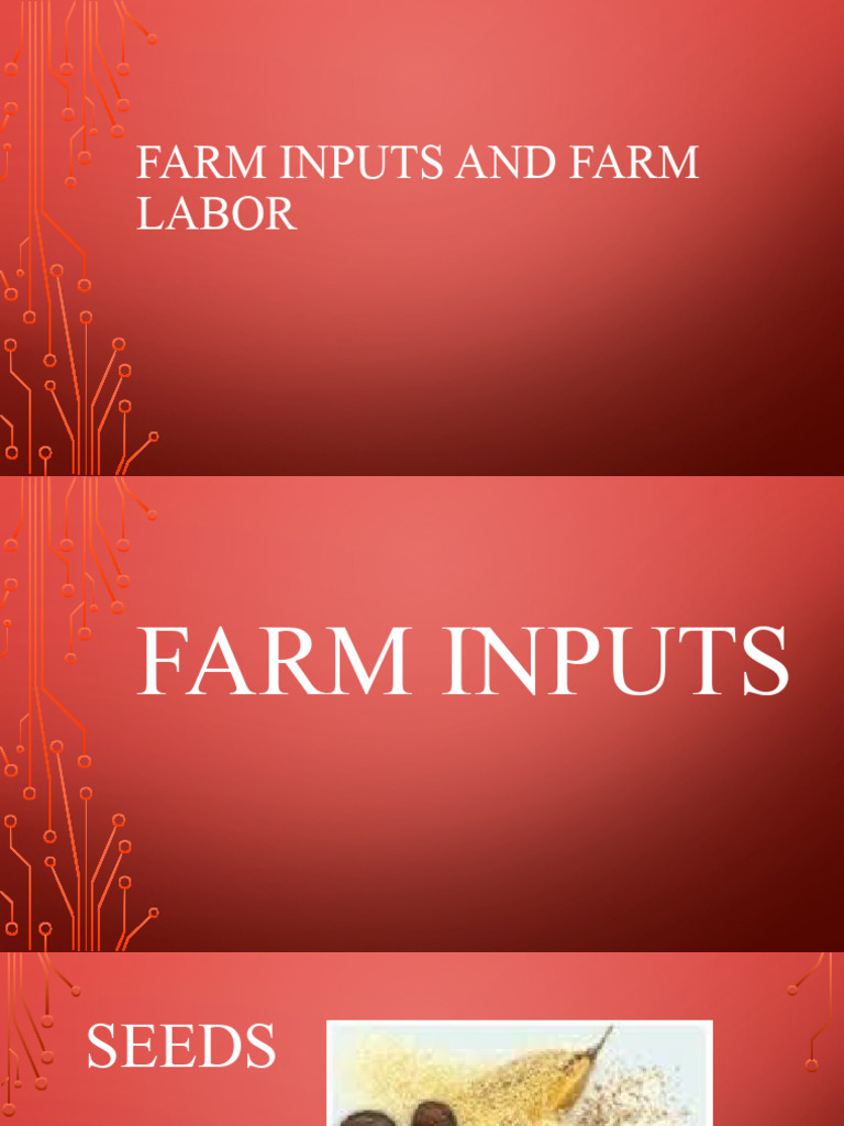 Perform Basic Calculation - Week 2 Quarter 3 | PDF | Rice | Farms