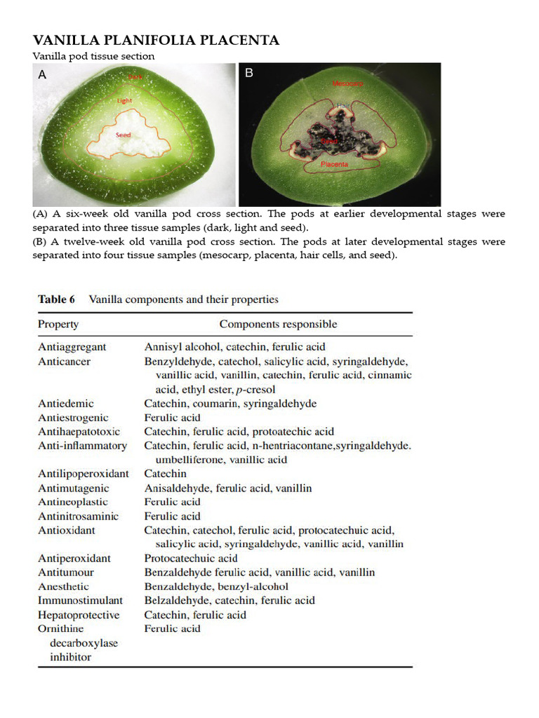 Plant Placenta | PDF | Antioxidant | Inflammation