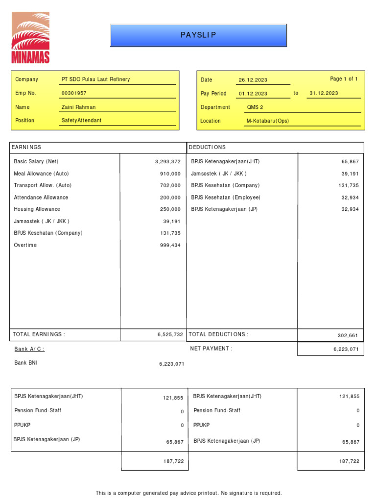 Payslip: Earnings Deductions | PDF | Working Conditions | Pension
