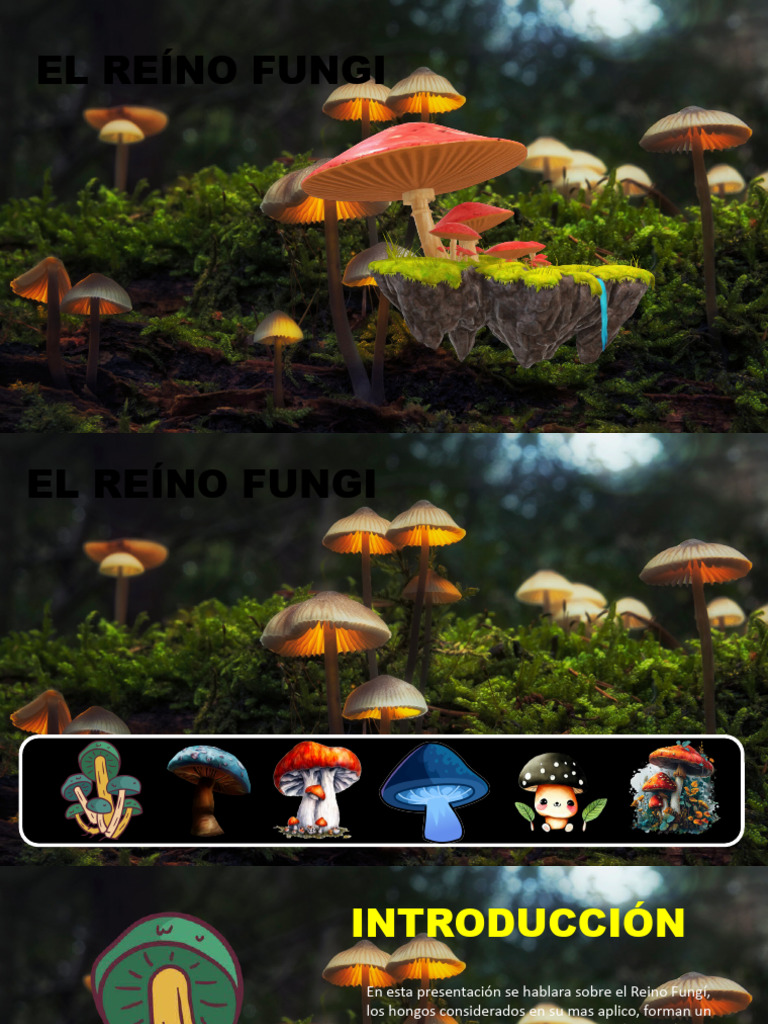 El Reino Fungi. g3 | PDF | Hongo | Espora