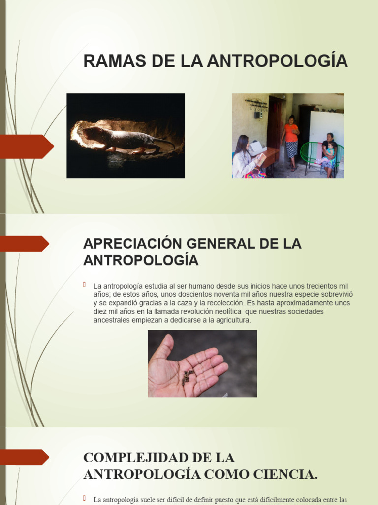 Ramas de La Antropología | PDF | Antropología | Antropologia Biologica
