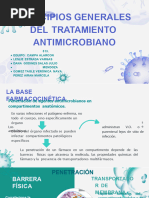 Tabla de Cefalosporinas | PDF | Antibióticos | Grupo funcional