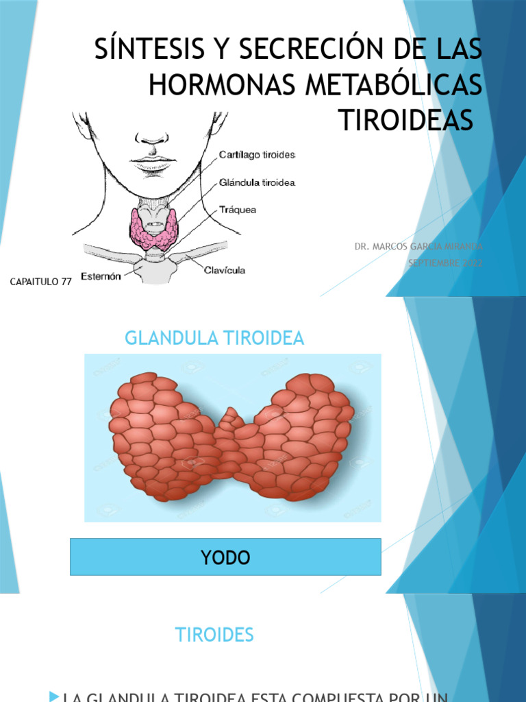 Síntesis y Secreción de Las Hormonas Metabólicas Tiroideas | Descargar ...