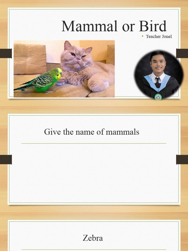 p3 Science Mammal or Bird | PDF | Language Arts & Discipline