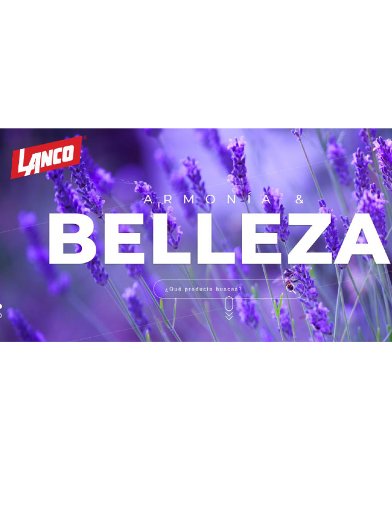 Productos Lanco | PDF | Tecnología